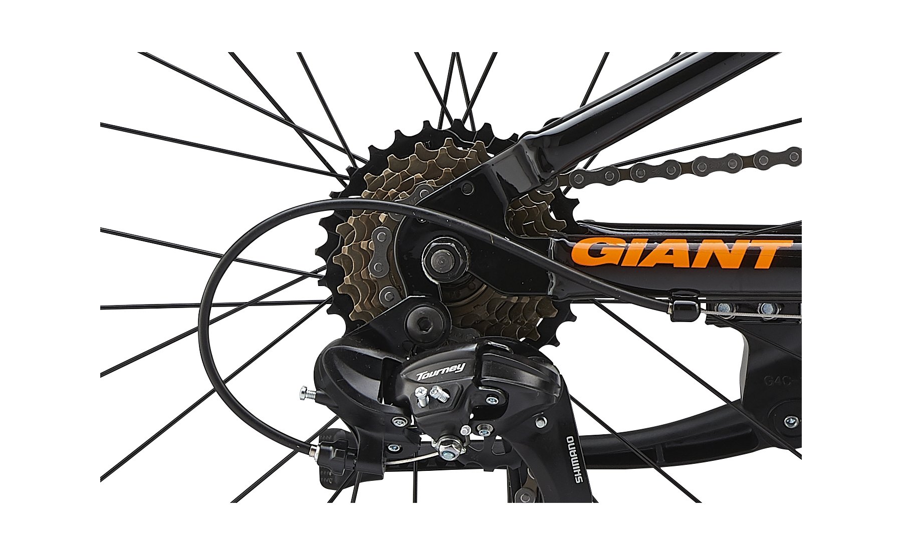 Giant XTC Jr. 20 2019 20 Zoll -4% | Fahrrad XXL